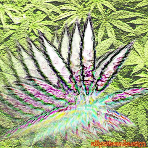 🔥 Free Download Trippy Weed Background For Pot Leaf by @jlee49 ...