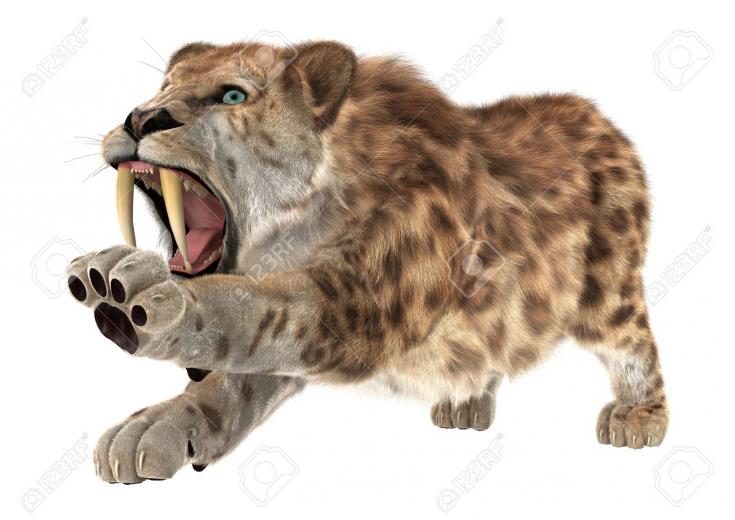 Free download Fierce Smilodon Cub transparent background PNG clipart ...