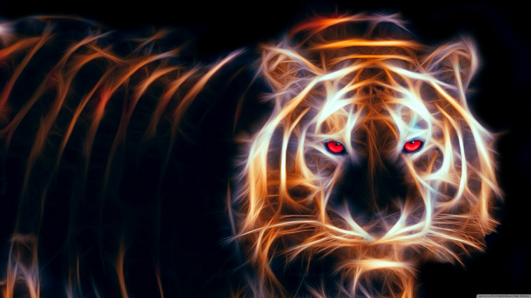 🔥 [40+] Cool Tiger Wallpapers | WallpaperSafari
