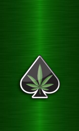 🔥 Free Download Marijuana Screensaver Wallpaper by @sarahb ...