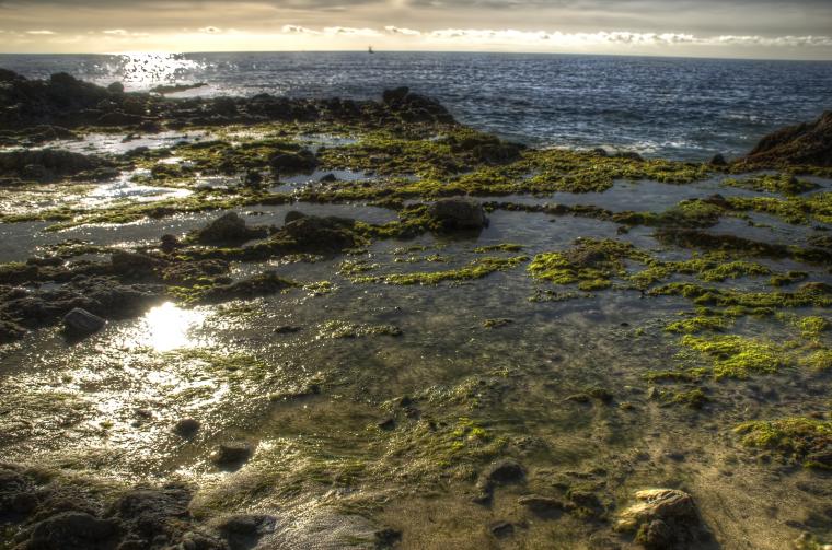 🔥 [50+] Wallpapers Orange County | WallpaperSafari