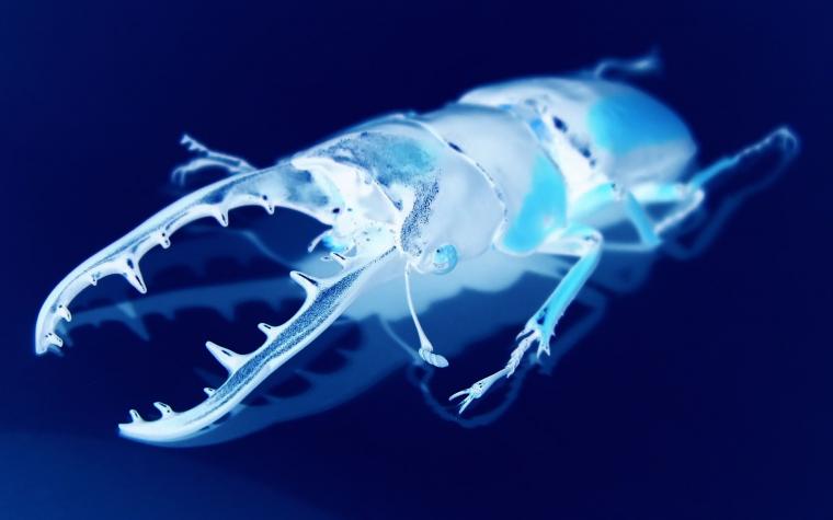 🔥 [40+] Monochromatic Wallpapers | WallpaperSafari