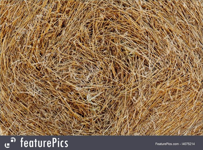 🔥 [10+] Haystack Backgrounds | WallpaperSafari