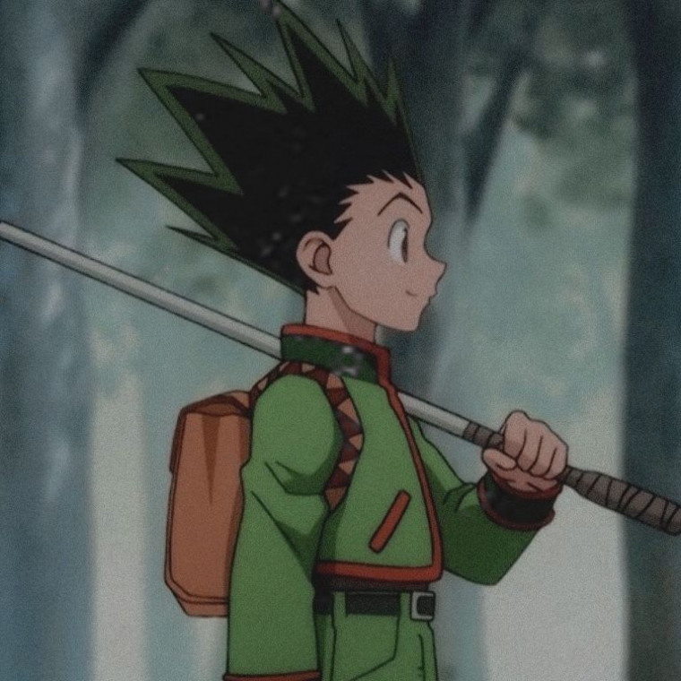 🔥 [60+] Hunter X Hunter Pfp Wallpapers | WallpaperSafari