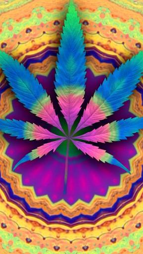 🔥 [70+] Psychedelic Weed Wallpapers | WallpaperSafari