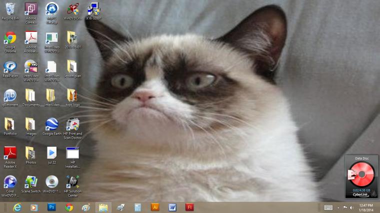 Free download Grumpy Cat Wallpapers [1488x895] for your Desktop, Mobile & Tablet | Explore 70 ...
