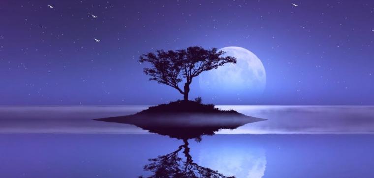 🔥 [60+] Free Rotating Wallpapers and Screensavers | WallpaperSafari