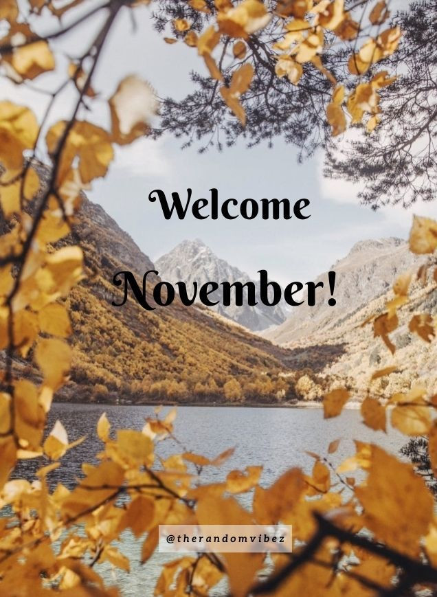 🔥 Free Download Hello November Image Pictures Quotes And Pics by ...