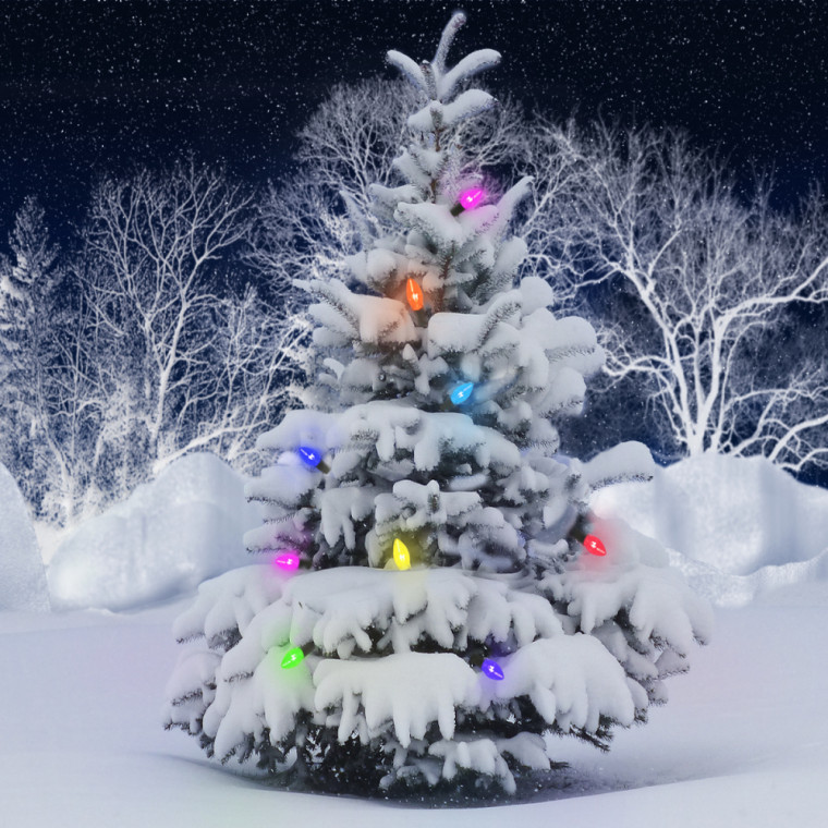 🔥 Free Download Christmas Pfp Of A Cute Girl Wallpaper by @antonioh47 ...