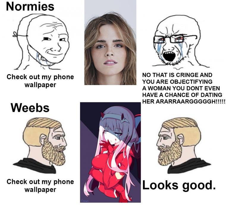 🔥 [50+] Cringe Wallpapers | WallpaperSafari