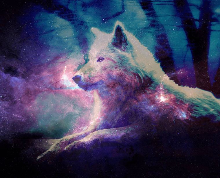 🔥 Free Download Cool Wolf Wallpaper by @kjensen82 | WallpaperSafari