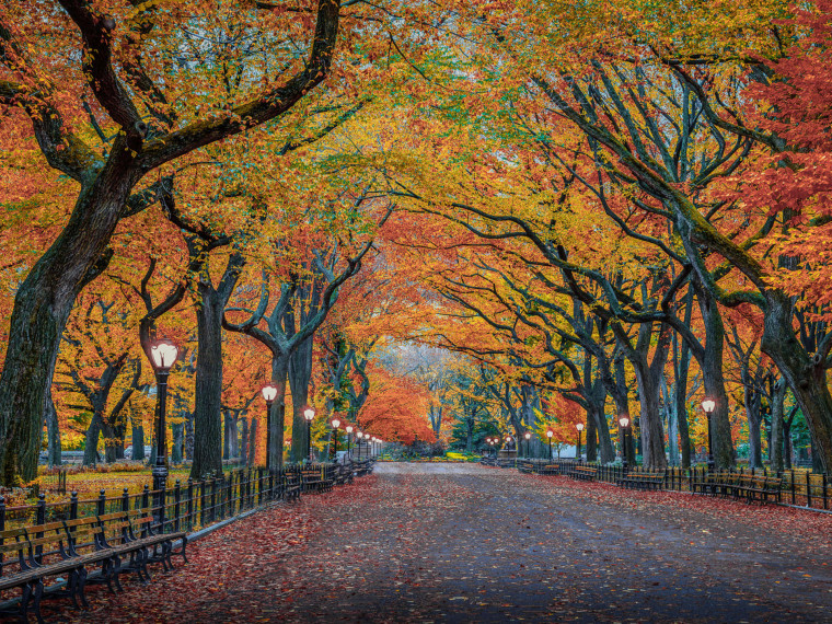 🔥 [50+] 4k Fall Wallpapers | WallpaperSafari