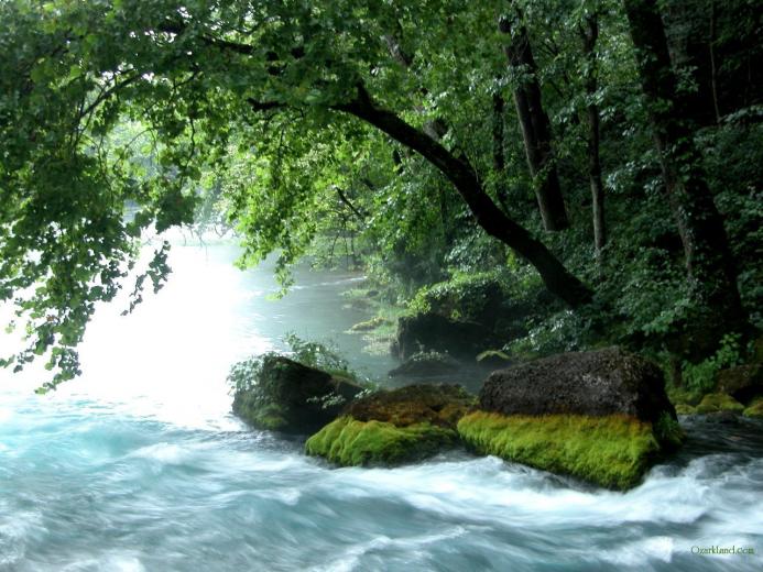 Free download Spring and summer scenery Scenery Pics Wallpaper 22175153 ...