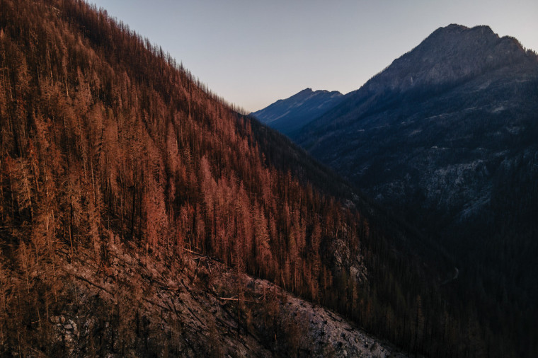 🔥 [40+] Brown Landscape Wallpapers | WallpaperSafari