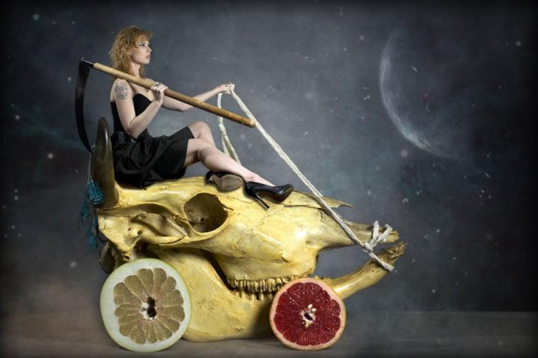 🔥 [50+] Absurd Wallpapers | WallpaperSafari