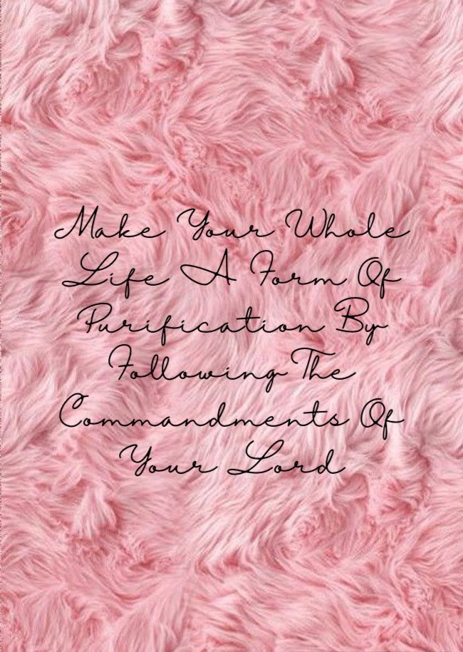 🔥 [30+] Pink Words Wallpapers | WallpaperSafari