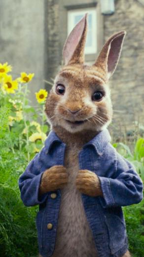 Free download Peter Rabbit Movie images Peter Rabbit HD wallpaper and ...