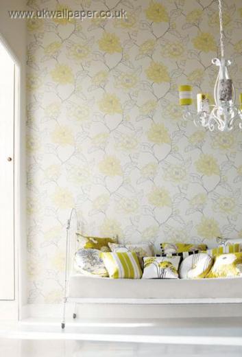 🔥 [50+] Half Drop Match Wallpapers | WallpaperSafari