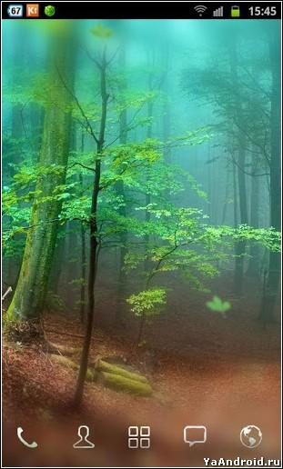 🔥 [100+] Forest HD Live Wallpapers | WallpaperSafari