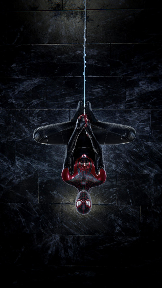 🔥 [60+] Spider-Man Upside Down Wallpapers | WallpaperSafari