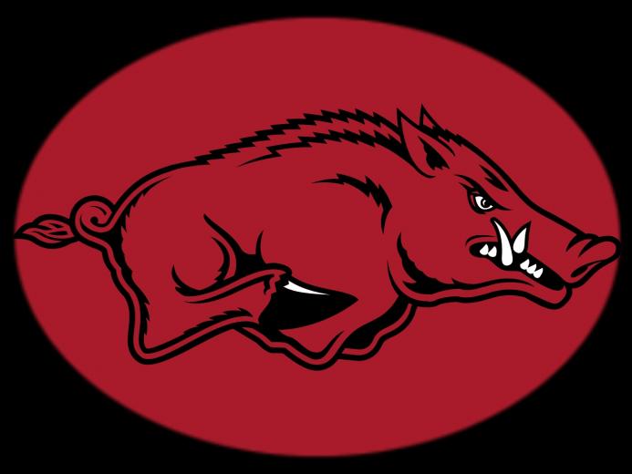 🔥 [90+] Razorback Wallpapers Free | WallpaperSafari