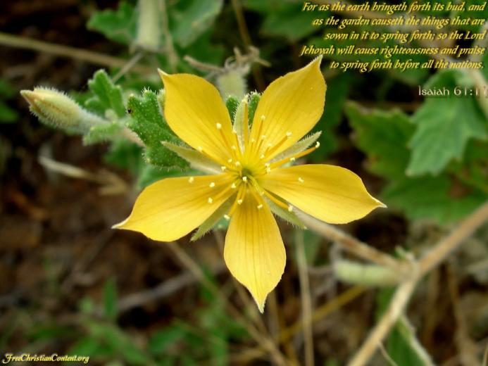 🔥 [100+] Free Scripture Spring Wallpapers | WallpaperSafari