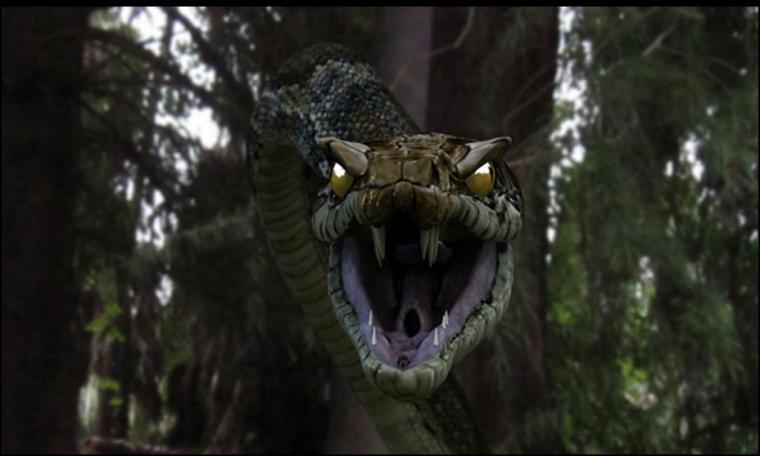 Free Download Snakes Images Scary HD Wallpaper And Background Photos 18693405 928x558 For Your free-download-snakes-images-scary-hd-wallpaper-and-background-photos-18693405-928x558-for-your