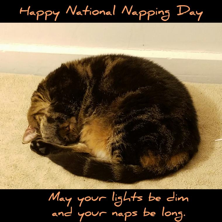 🔥 [100+] National Nap Day Wallpapers | WallpaperSafari