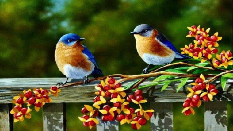 🔥 [50+] Blue Bird Desktop Wallpapers | WallpaperSafari