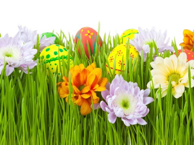 🔥 [90+] Easter Spring Wallpapers | WallpaperSafari