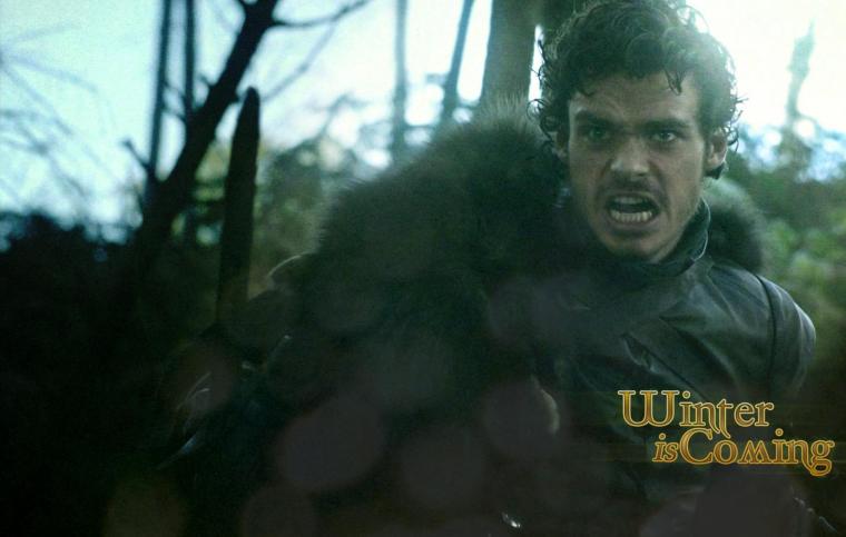 🔥 [50+] Winter is Coming Stark Wallpapers | WallpaperSafari