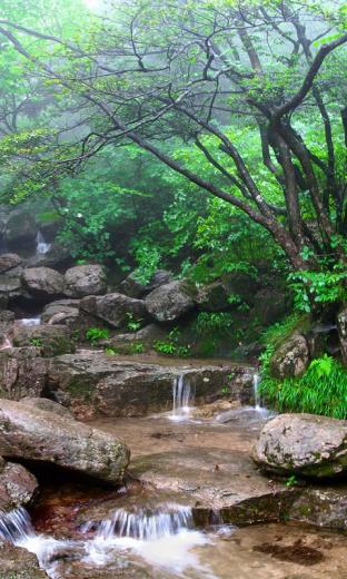 🔥 [100+] Nexus. Wallpapers and Screensavers | WallpaperSafari