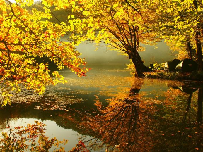 🔥 [50+] Large Fall Screensavers and Wallpapers | WallpaperSafari
