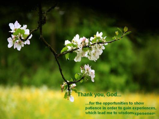 🔥 Free Download Thank You God Wallpaper Pictures 14gallery by ...