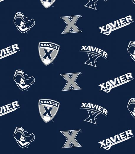 🔥 [50+] Xavier Wallpapers | WallpaperSafari