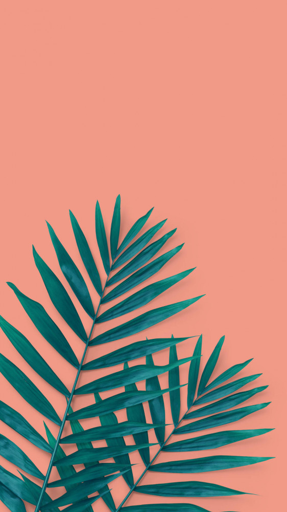 🔥 [50+] Tropical Preppy Summer Wallpapers | WallpaperSafari