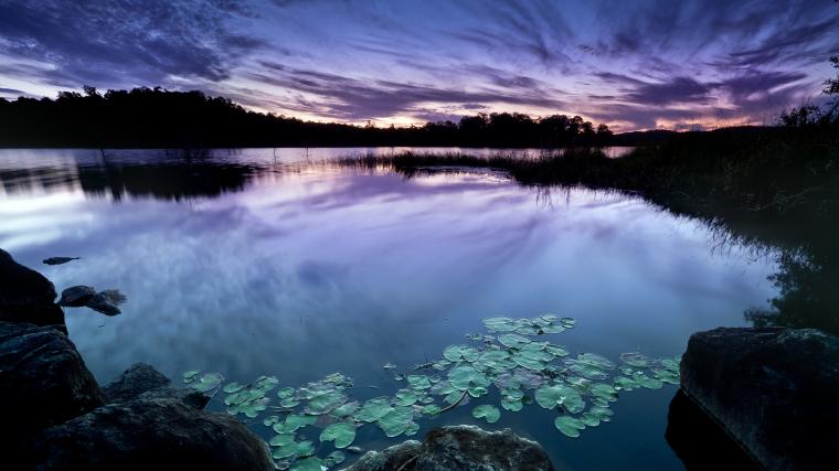 🔥 [10+] HD Purple Zen Wallpapers | WallpaperSafari