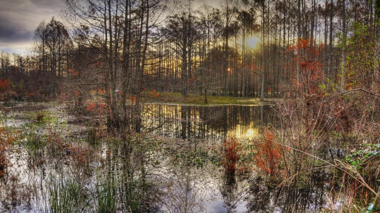 Free download Dramatic Swamp Sunset Wallpaper PC Wallpaper ...