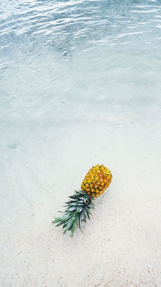 🔥 [50+] Tropical Preppy Summer Wallpapers | WallpaperSafari