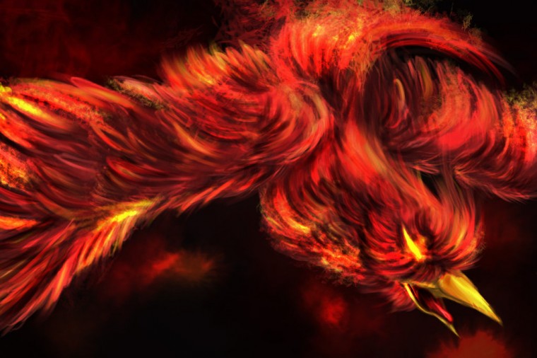 🔥 Free Download Firebird High Quality And Resolution Wallpaper On by ...