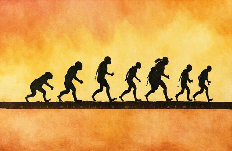 🔥 [60+] Human Evolution Wallpapers | WallpaperSafari