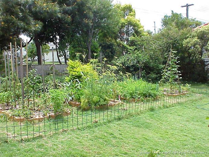 🔥 Free Download Gardening The Vegetable Patch Wallpaper by @heatherw ...