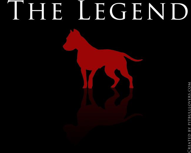 🔥 [50+] Cellsea Wallpapers | WallpaperSafari