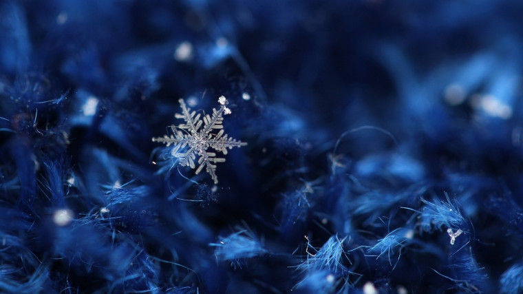 🔥 [50+] Snowflake Wallpapers | WallpaperSafari