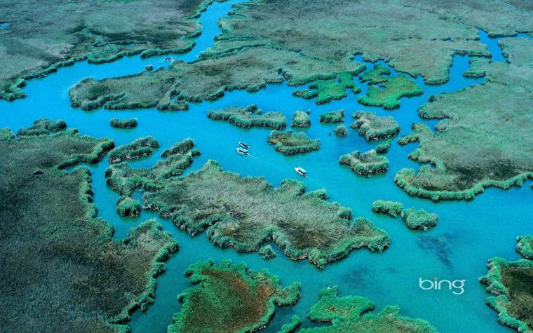 Free download Get Bing wallpapers without Bing watermark [600x410] for ...