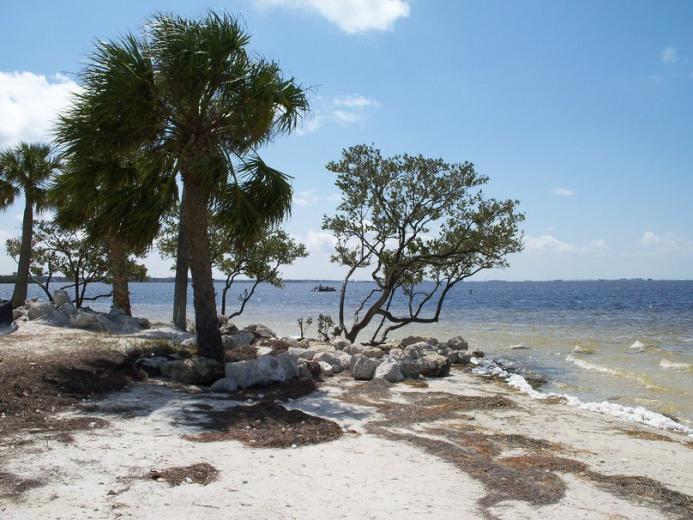 🔥 [120+] Free Spring Beach Wallpapers | WallpaperSafari