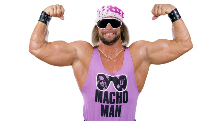 🔥 Free Download Macho Man Randy Savage Memes Sports Wwe Wallpaper by @scottd92 | WallpaperSafari