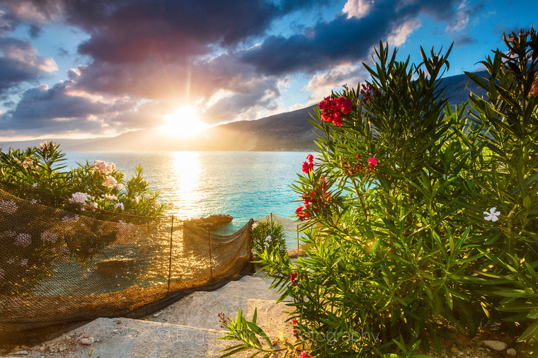 🔥 [30+] Summer Sunrise Wallpapers | WallpaperSafari