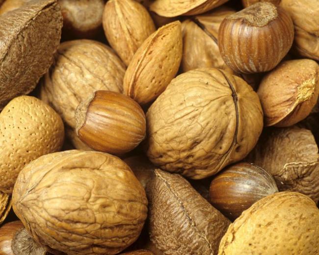 🔥 [40+] Nuts Wallpapers | WallpaperSafari