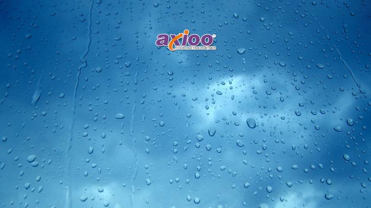 🔥 [30+] Axioo Wallpapers | WallpaperSafari